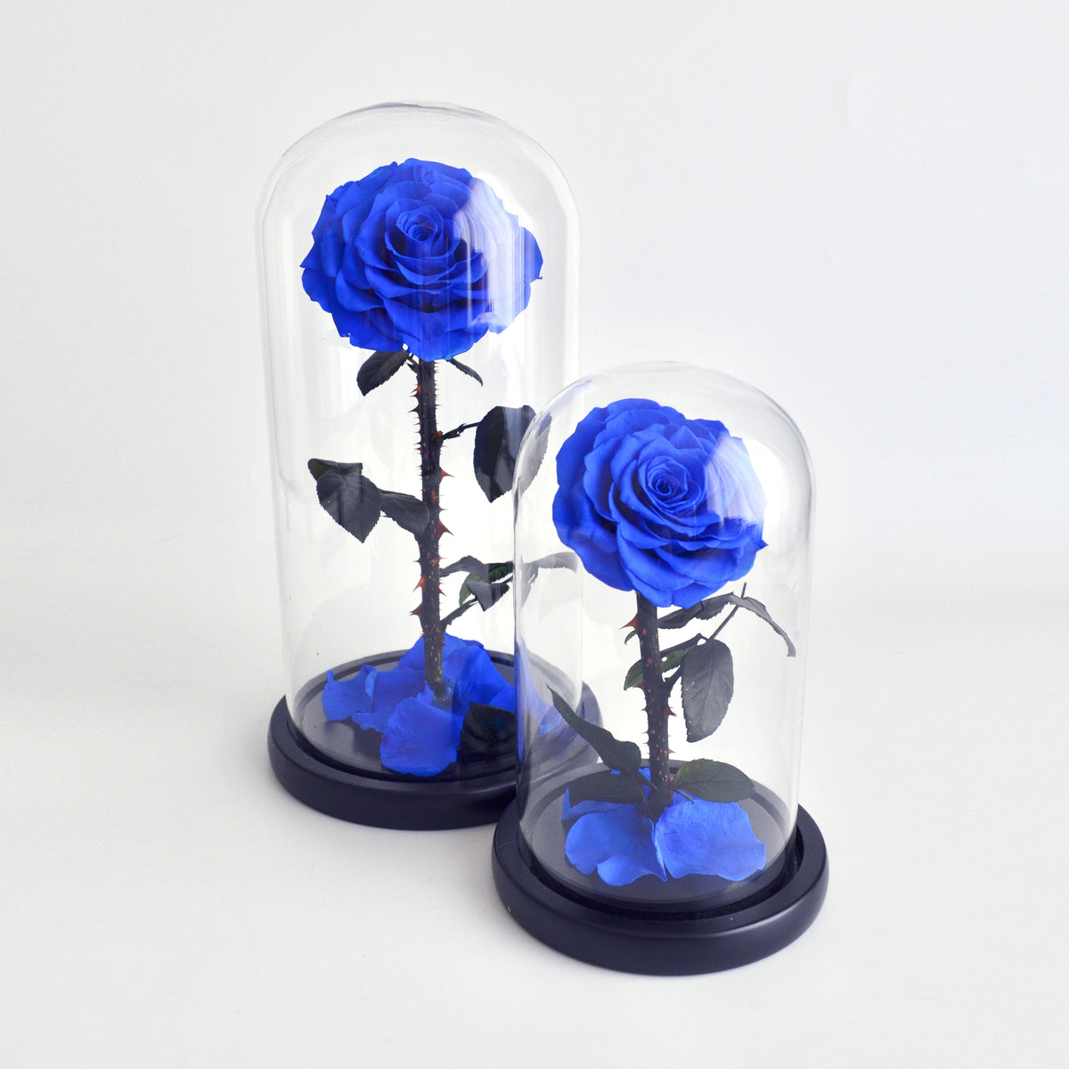 Timeless Prince's Rose, Royal Blue – WonderFloral